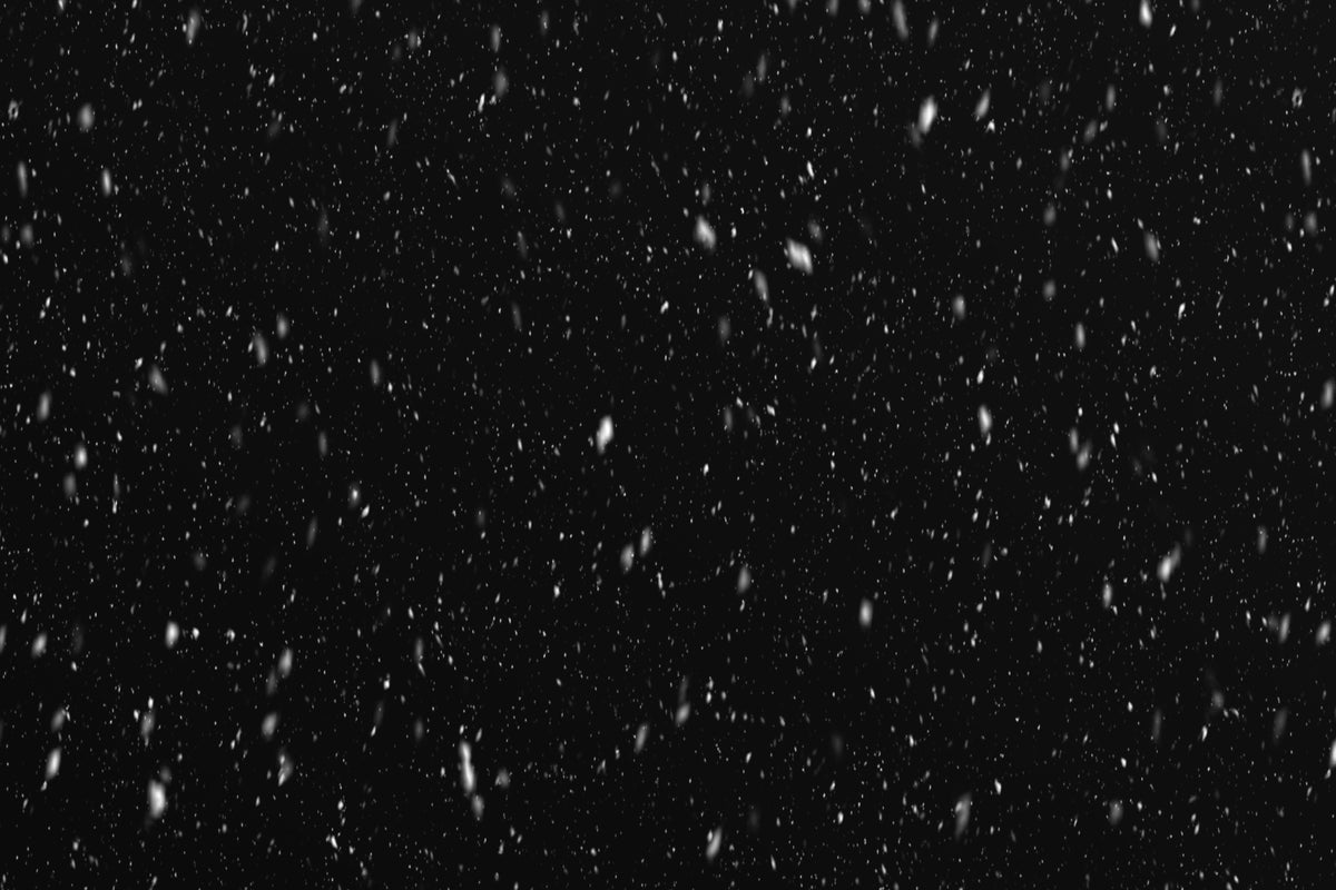 Beard Dandruff is a Thing...– EDH SIGNATURE